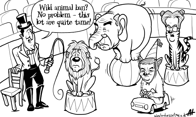 Wild Animal Ban – Alex Hughes Cartoons