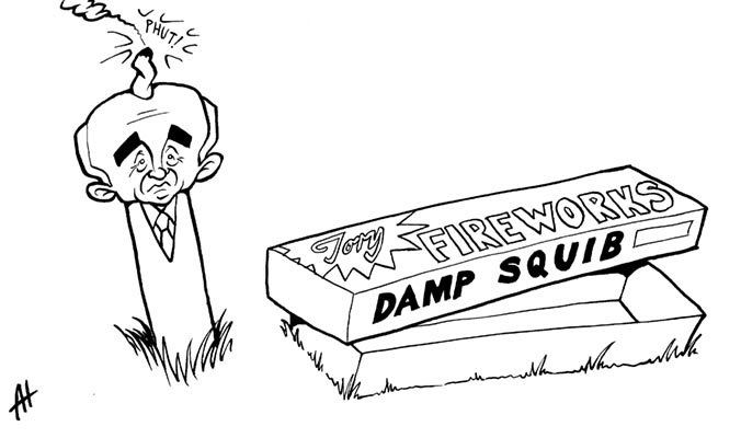 Damp Squib – Alex Hughes Cartoons