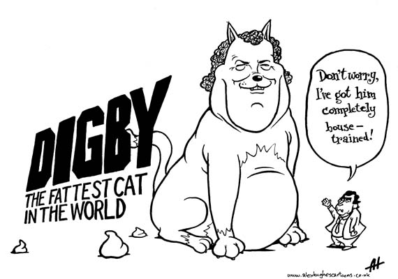 Local News(ish) – Digby Jones – Alex Hughes Cartoons